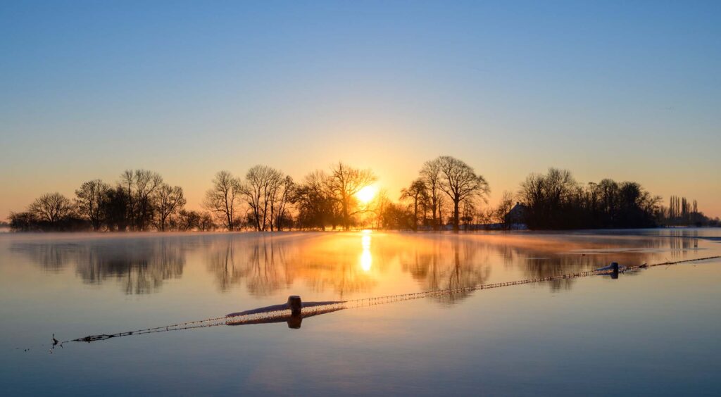 A surprisingly strong end to a challenging year | PWL Capital